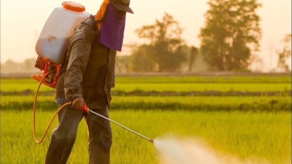 Petition · Stop the use of pesticides in my comm - United States ...