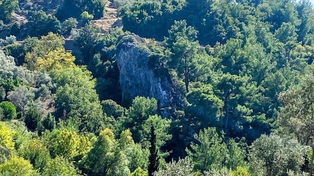 Kampanya · Gödence de baraj yapımı için orman talanına son - Türkiye ...