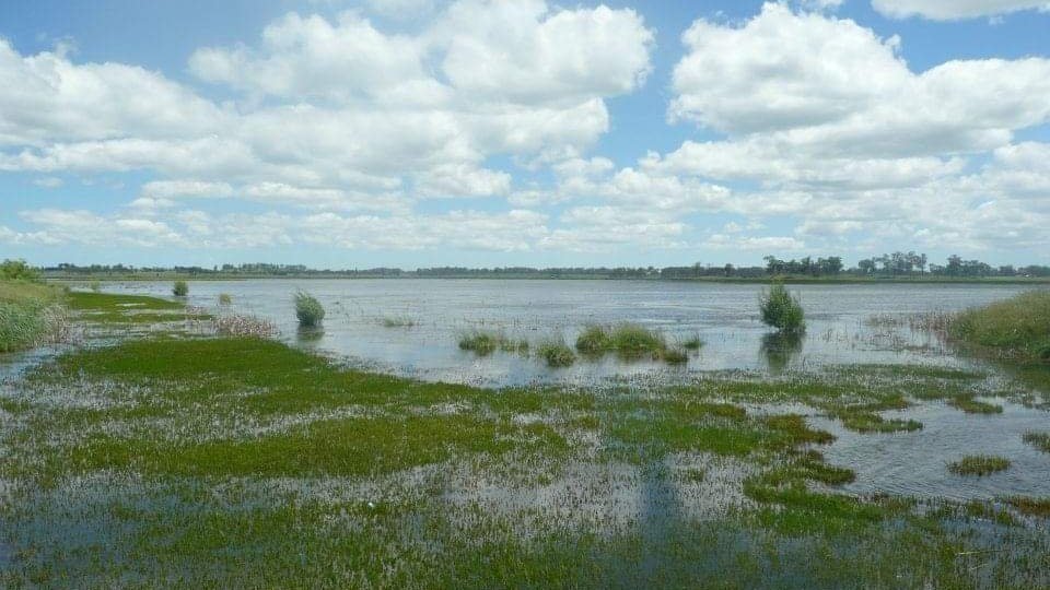 Petition · One Bore is sufficient to sustain water supply - Australia ...