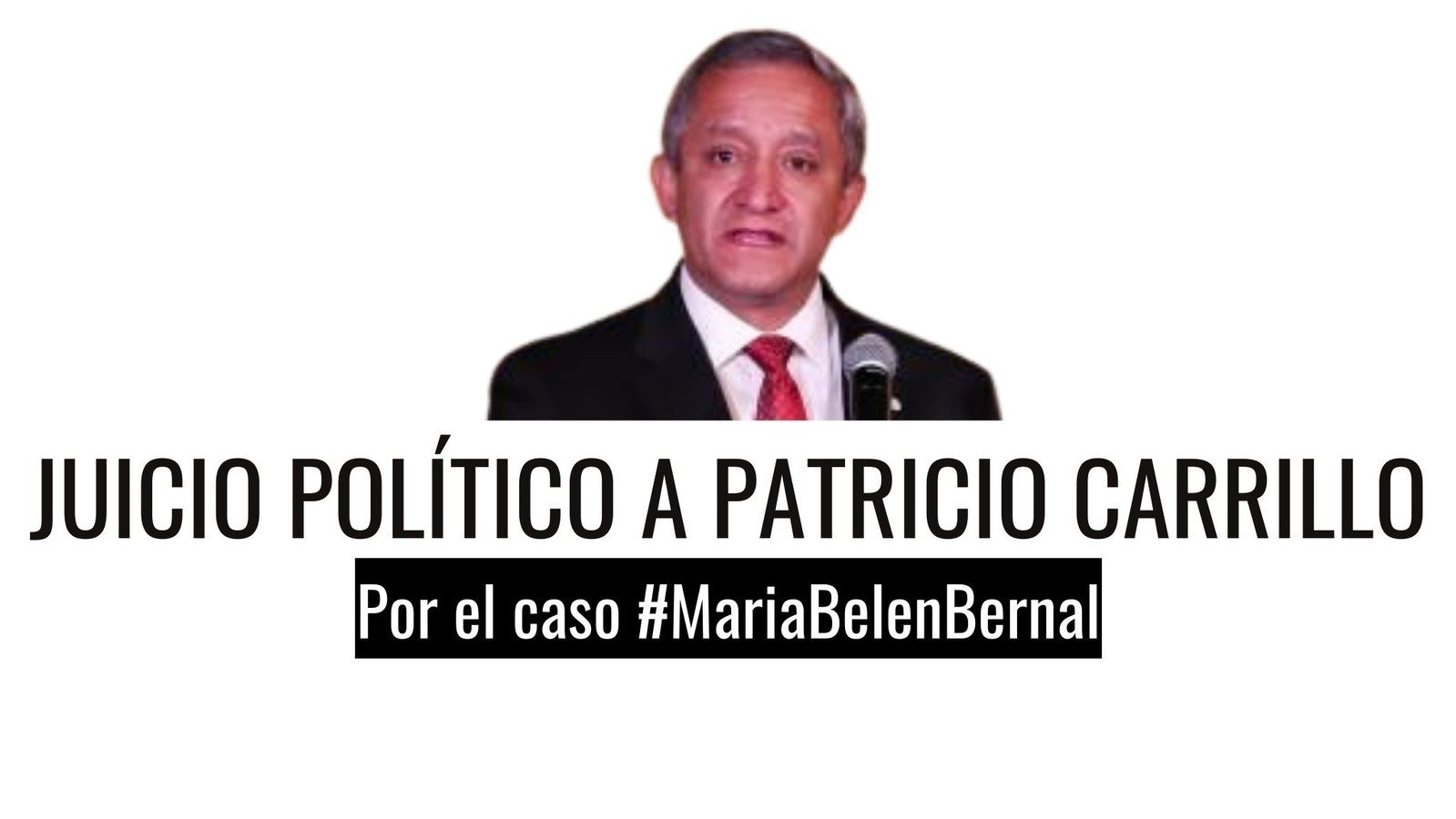 Petición · JUICIO POLÍTICO A PATRICIO CARRILLO por el caso #MariaBelenBernal - Ecuador · Change.org