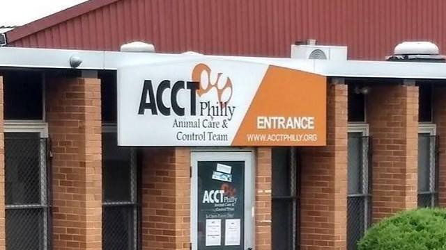 Petition · More City Government support for the Animal Care & Control ...