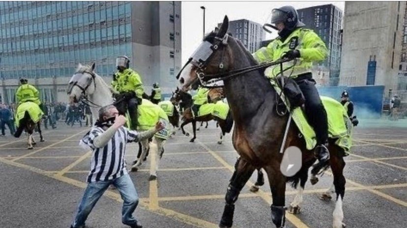 Petition · Ban the inhumane use of police horses in protests and crowd ...
