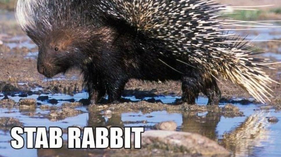 Petition · Rename several misleading animal names - United States ...