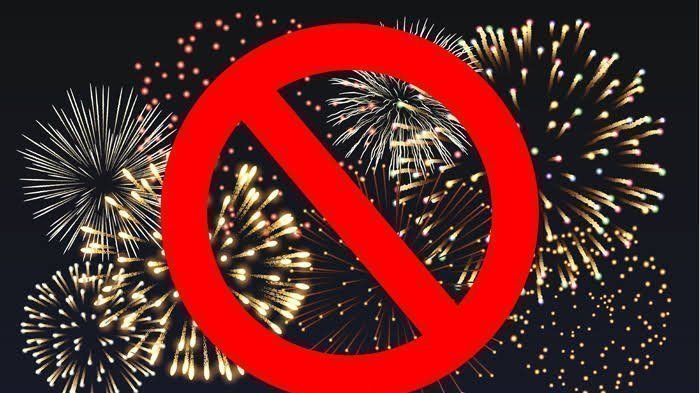 Petition · Ban private fireworks use in Aotearoa! - New Zealand ...