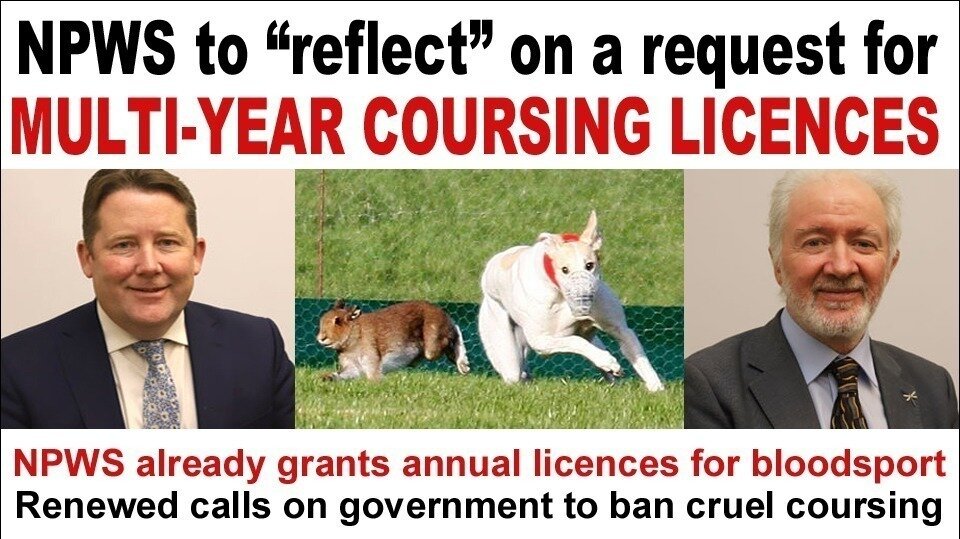 Petition update · NPWS “reflecting” on request for multi-year hare ...