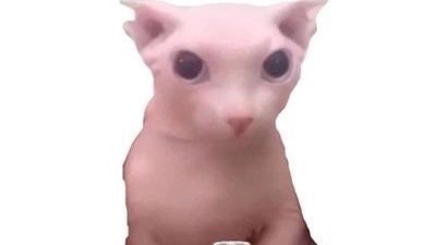 Petition · name roger’s new dog bingus - Canada · Change.org