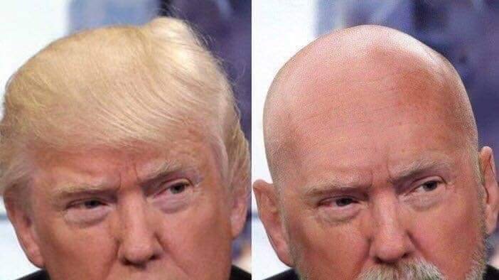 Petition · convince President Trump to shave his head bald and grow a ...
