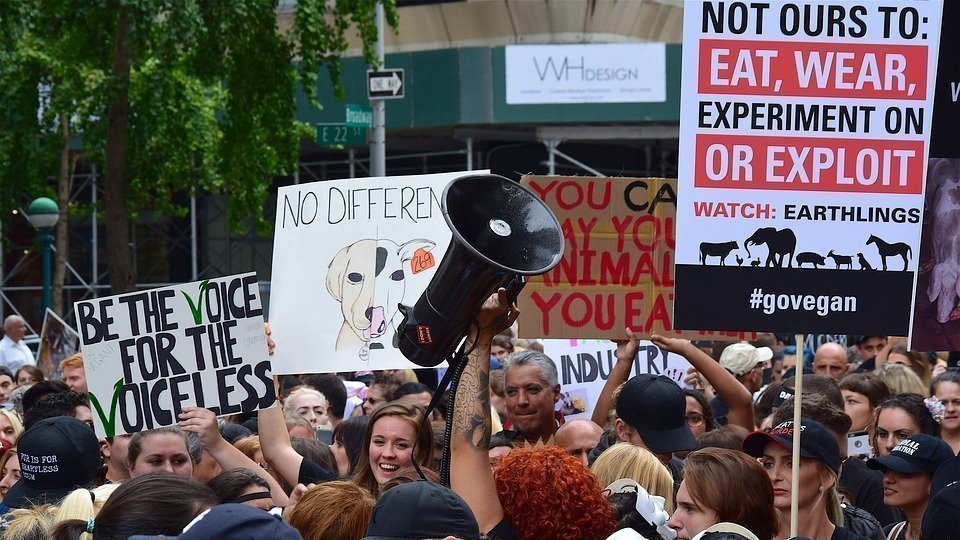 Petition · Animal Lives Matter - London, United Kingdom · Change.org Petition · Animal Lives Matter - London, United Kingdom · Change.org
