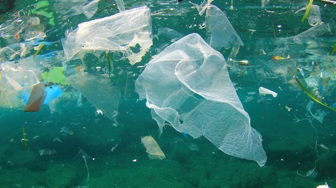 Petition · Ban Plastic Bags, Save the Ocean. - United States · Change.org
