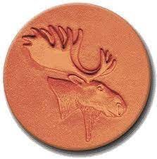 Petition · New MAMOOSKA Initaitive! - Aurora, United States · Change.org