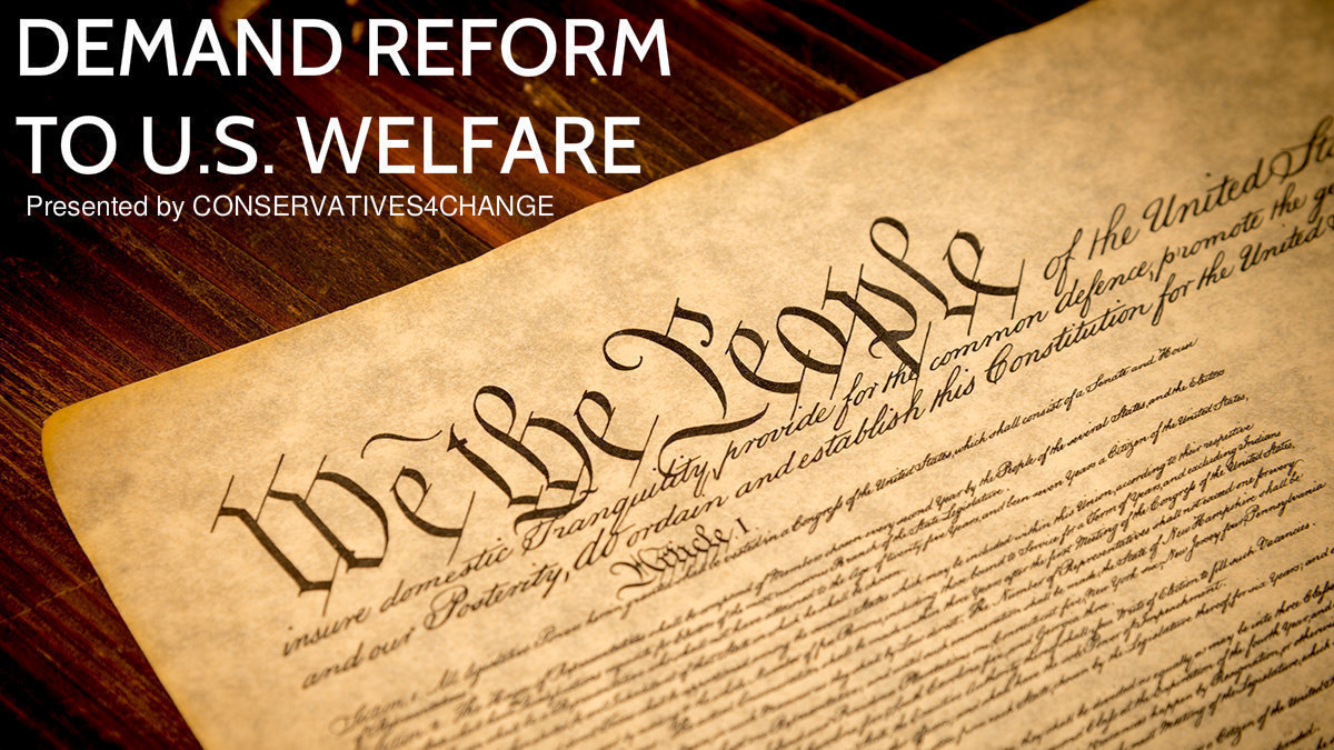 Petition · Demand Reform of Welfare Systems in the United States ...