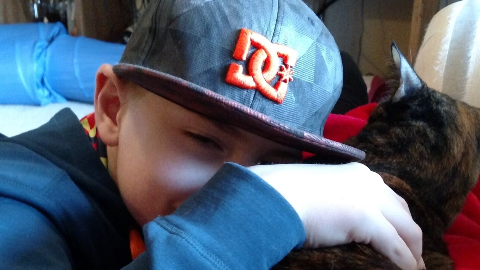 Petition · Animal Care Education In Schools · Change.org