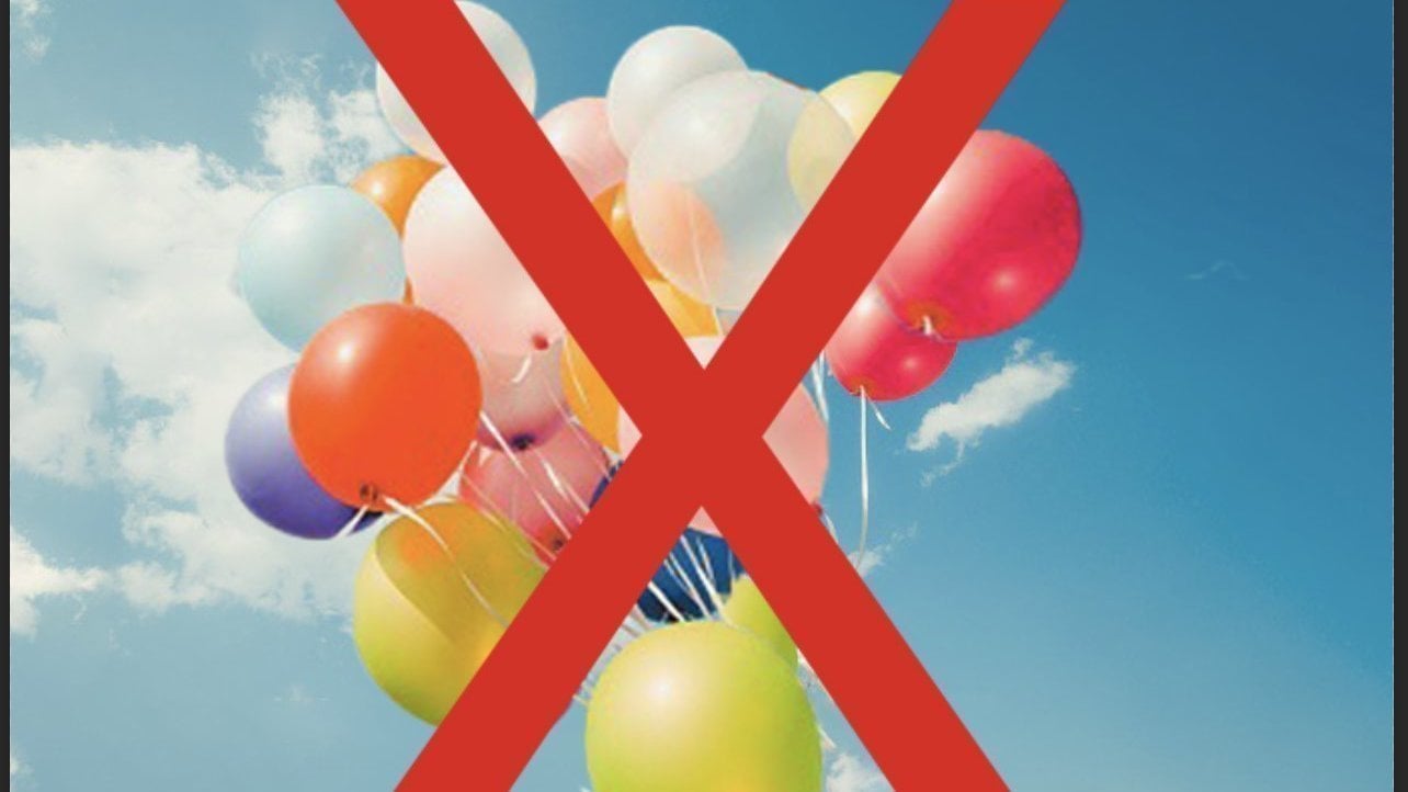 Petition · Ban Balloon Releases Nationwide! - United States · Change.org