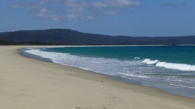 Petition update · information just came to hand · Change.org · Change.org