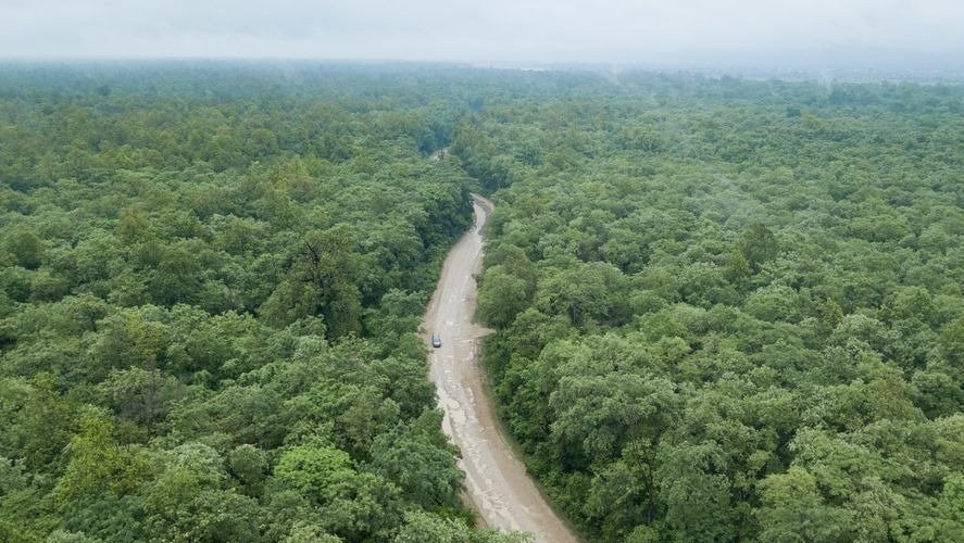 Petition · Stop mass deforestation in Nepal - Nepal · Change.org