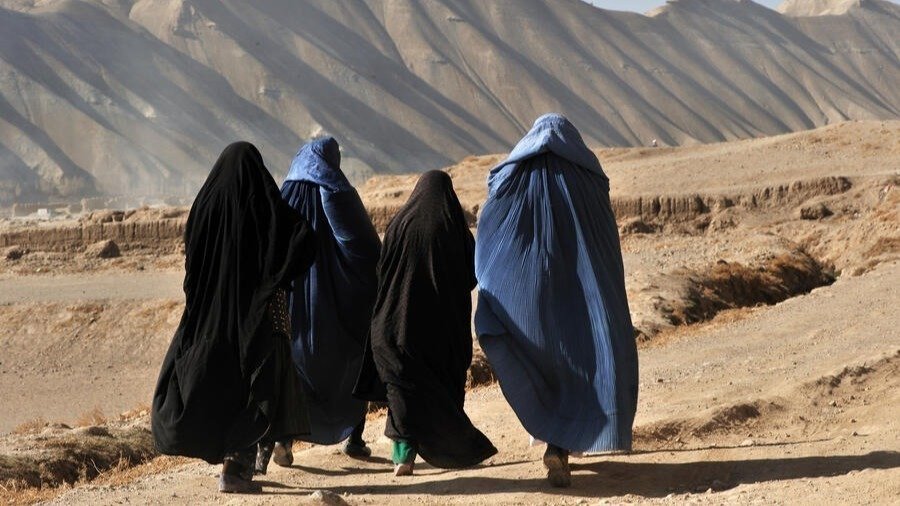 Petizione · Concediamo lo status di rifugiate alle donne afghane ...