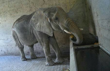 Petition update · CONCENTRACIÓN POR MUERTE DE RUPERTA · Change.org ...