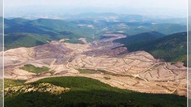Petition · Save Mount Ida (Kazdagi National Park) from gold mining ...