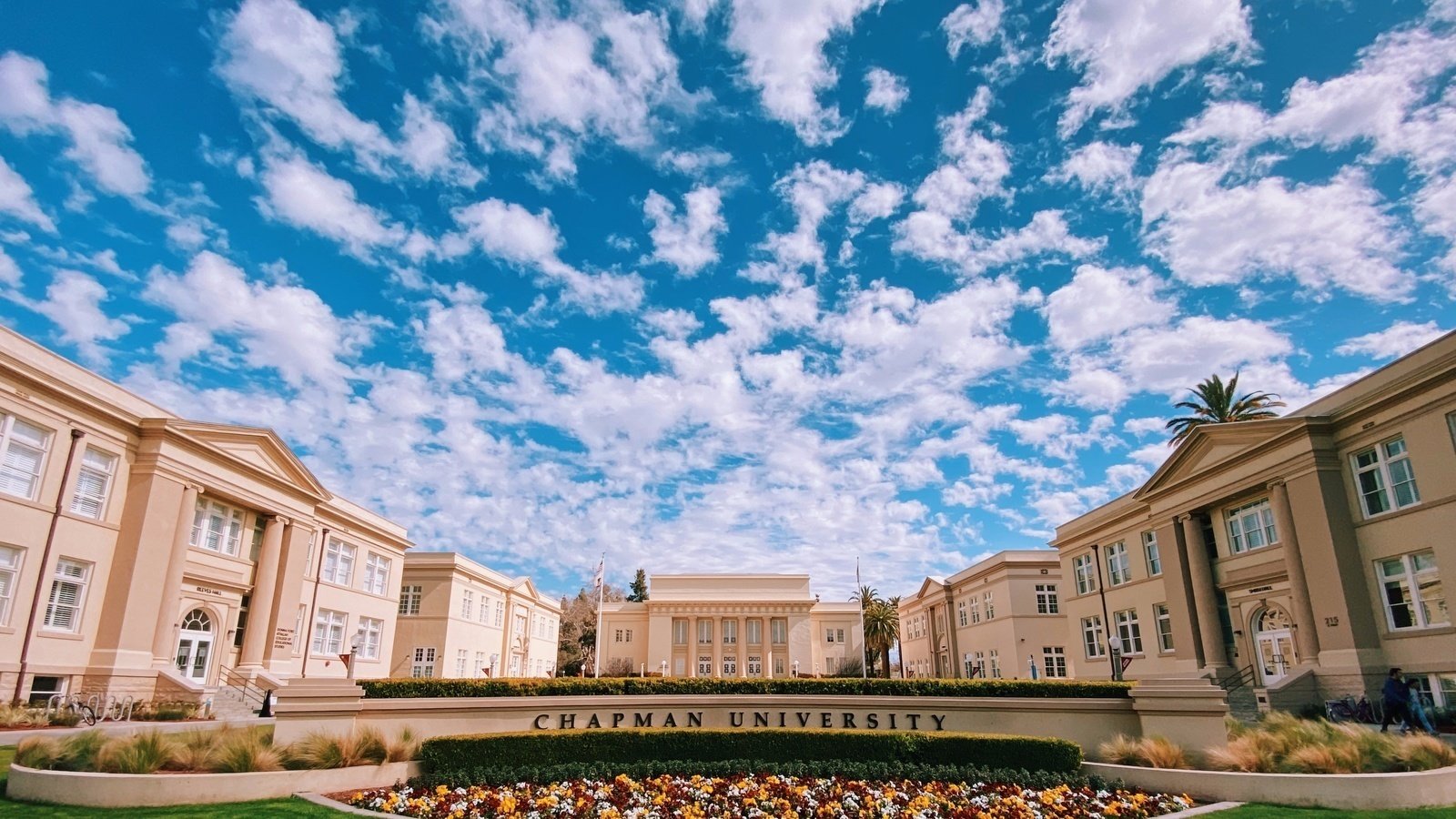 Petition · Stop Chapman's Funding of Orange PD - Orange, United States ...