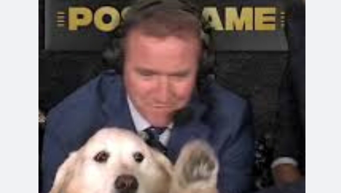 Petition · URGENT CALL FOR FANS TO HONOR ESPN DOG BEN WITH DONATION TO ...