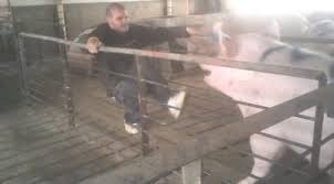 Petition · USDA~Ann Veneman~~ WITHDRAW THE "AG-GAG' LAW IN ALL STATES ...