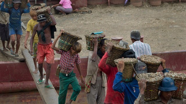 Petition · STOP CHILD LABOUR!! - United Kingdom · Change.org