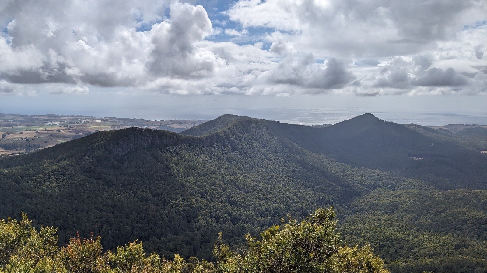 Petition · Protecting the Dial Range from Forestry’s chopping block ...