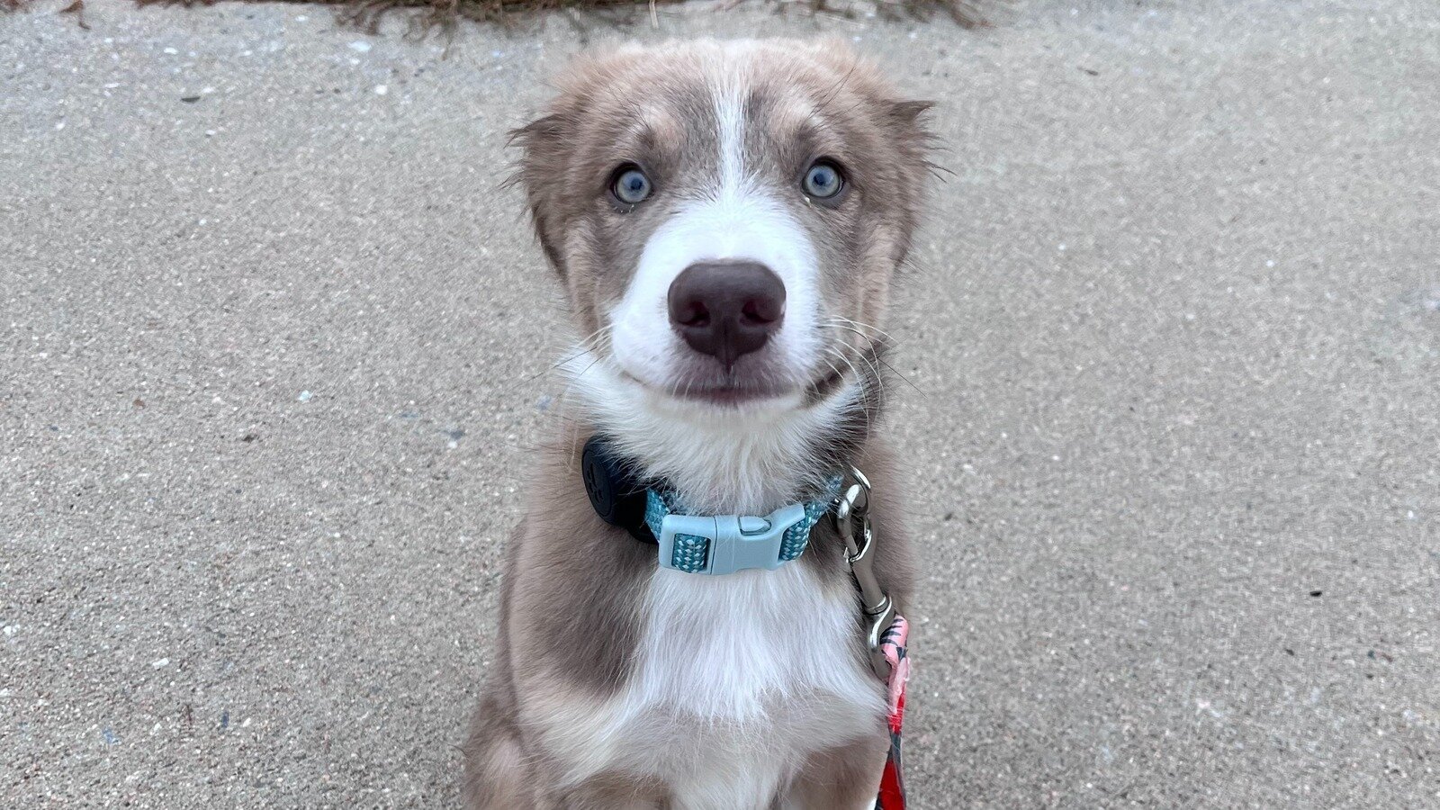 Petition · INVESTIGATE THE CDPHE - United States · Change.org