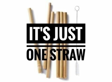 Petition · It's Just One Straw: A Small Push into Zero-Waste Living ...