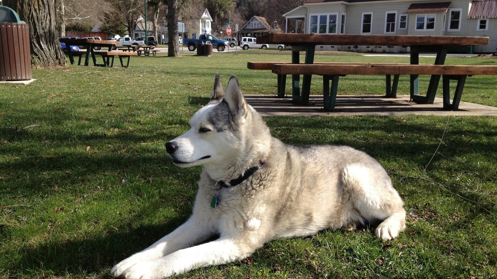 Petition · Save Dame Shirley Plaza - Quincy, United States · Change.org