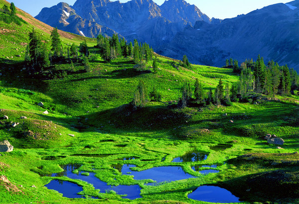 Petition · Support the Northern Rockies Ecosystem Protection Act ...