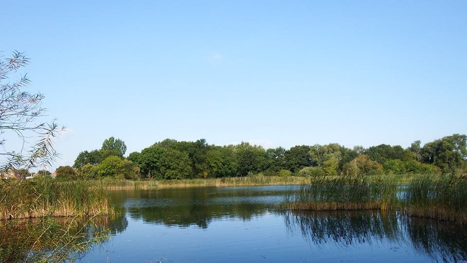 Petition · Change the rules for public access around the Manea Pits ...
