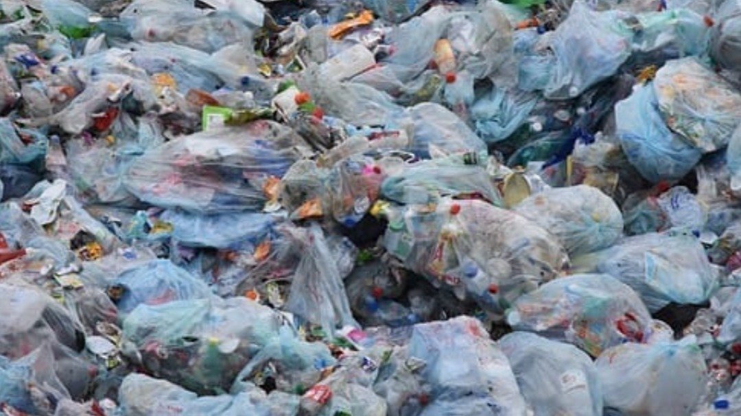 Petition · Get Single Use Plastic Bags Out of Stones Crossing Goodwill ...