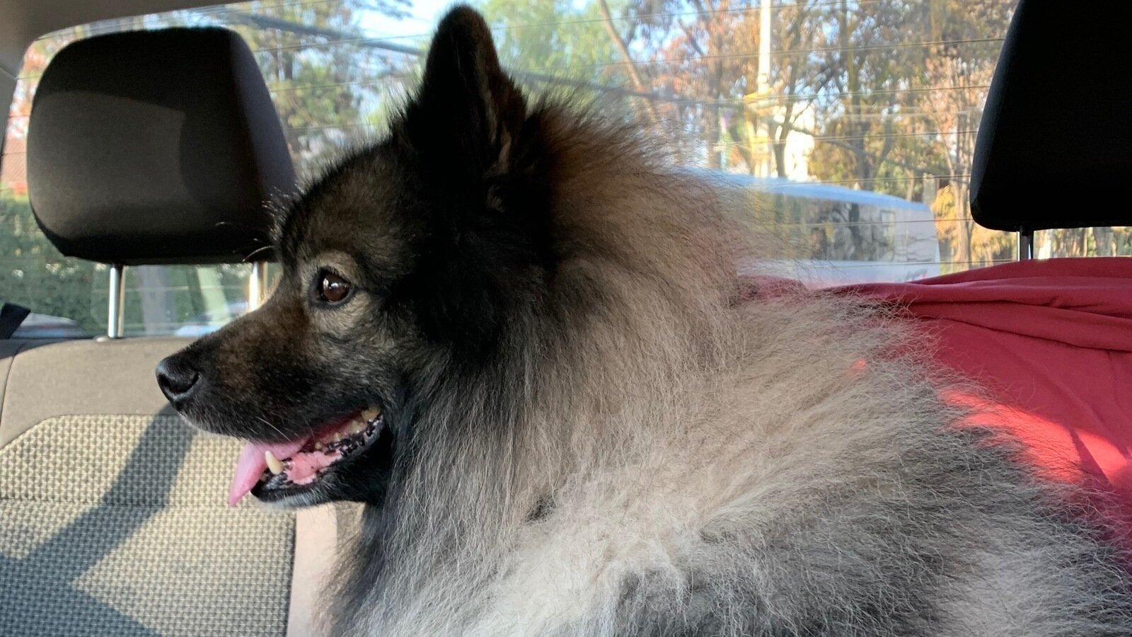 Petición · Derecho a Voto para las PyME - Chile · Change.org