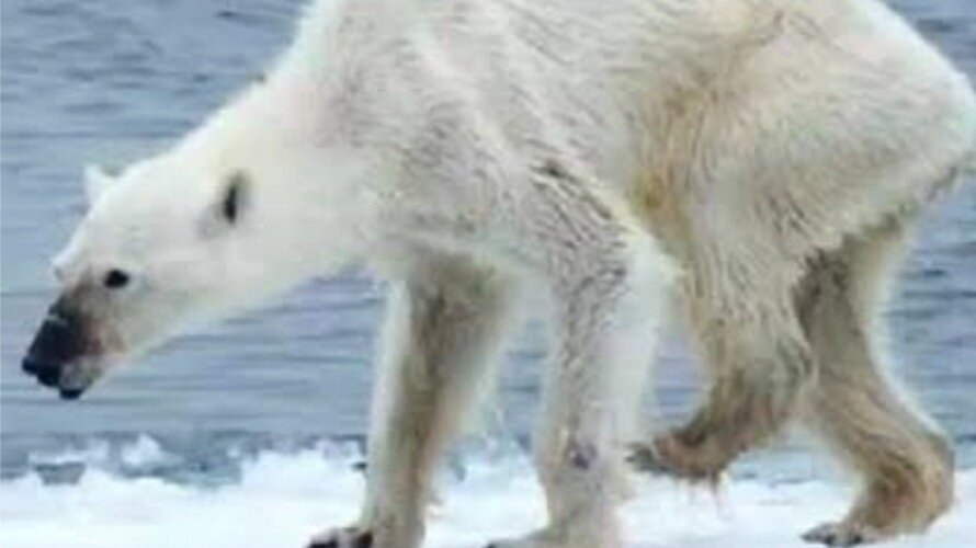 Petition · Stop Ai use leading to mass extinction due water usage, Ai ...