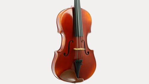 Petition · Stop Viola Hate - United States · Change.org