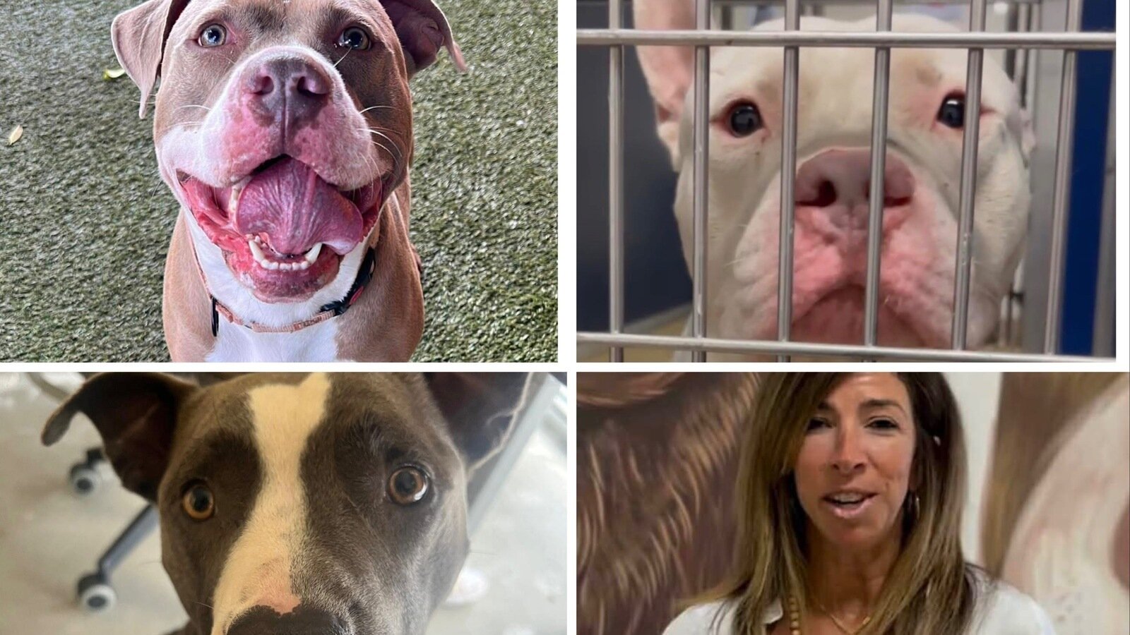 Petition · DEMAND THE REMOVAL OF DIRECTOR ANNETTE JOSE FROM MIAMI DADE ...