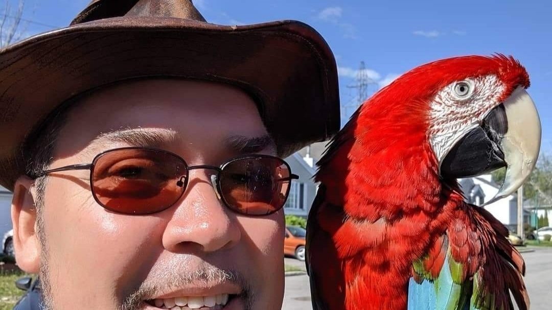 Pétition · Pour que Jackson, rejoigne son propriétaire Benjamin Varney ...