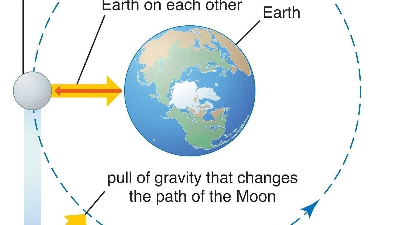 Petition · give gravity a right to custom titles - Australia · Change.org