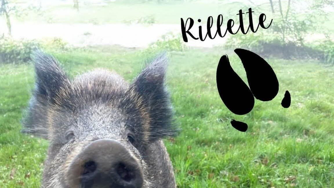 Pétition · SAUVER RILLETTE - France · Change.org