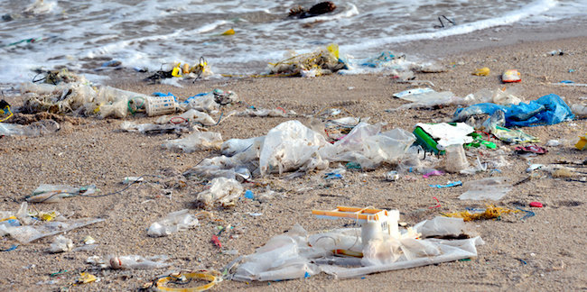 Petition · Save Barbados: Ban the Bag! - Barbados · Change.org