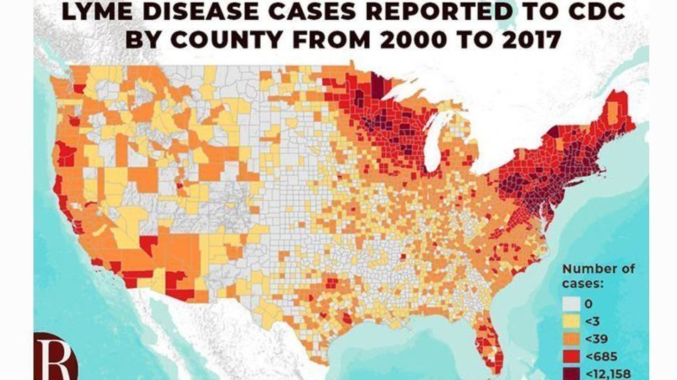 Petition · Fight for Lyme Disease - CDC, IDSA & Insurance Coverage ...