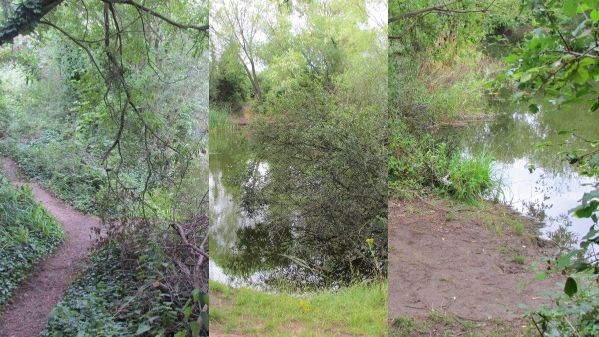Petition · Save Our Lake - United Kingdom · Change.org