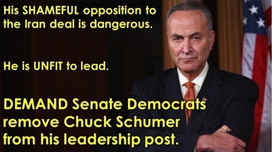 Petition · Remove Chuck Schumer from his leadership post - United ...