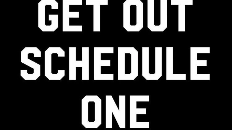 Petition · CALLING FOR THE RESIGNATION OF JUDGE AMANDA RIPPON - United ...