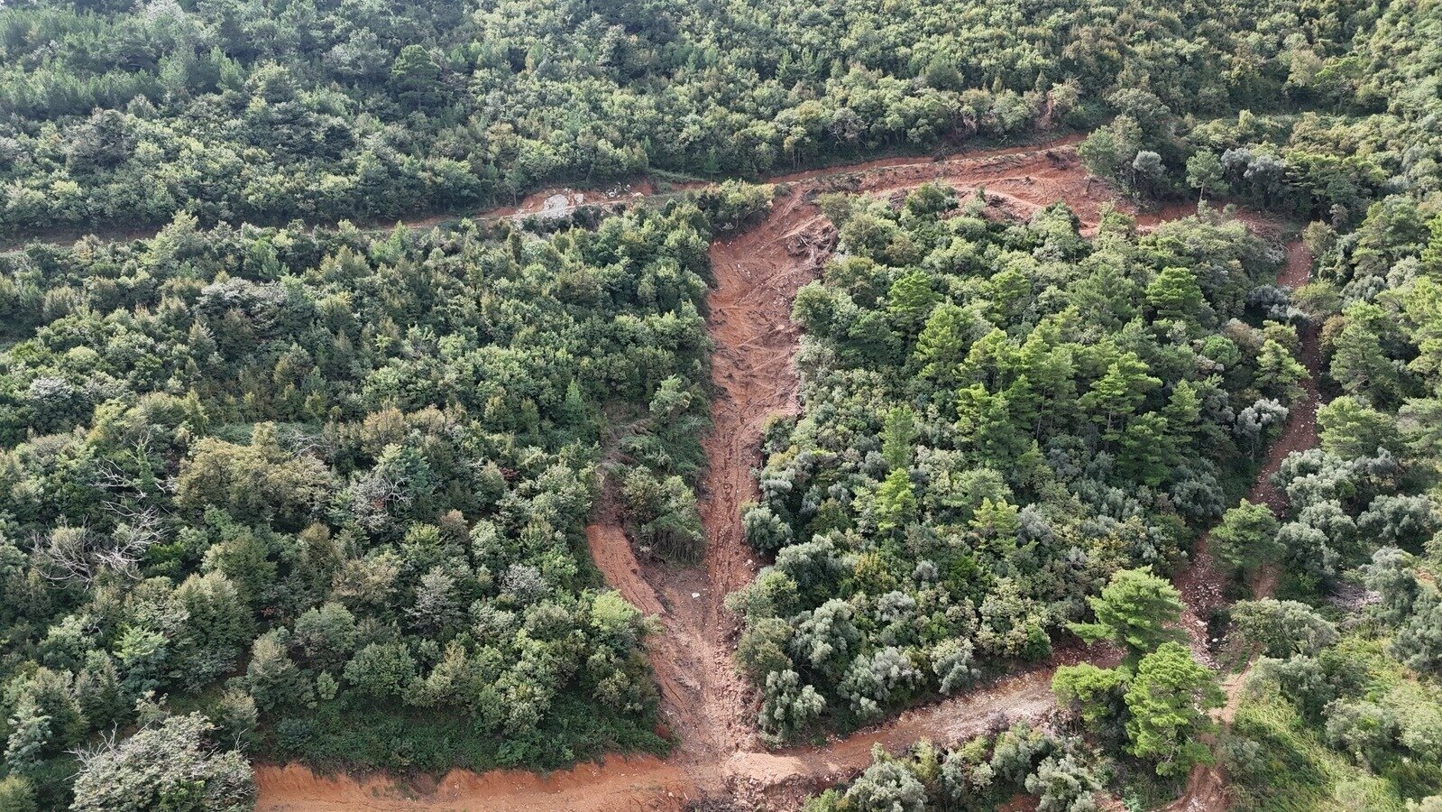 Petition · Zaštitimo Brdo Spas - Park prirode u Budvi - Montenegro ...