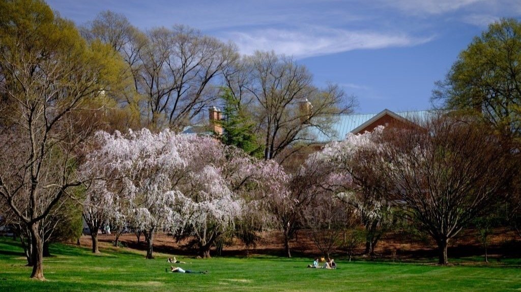 Petition · Stop the construction of a road through Davis field - United ...