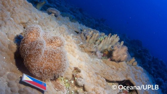 Petition · I Support the Protection of Philippine Rise - Philippines ...