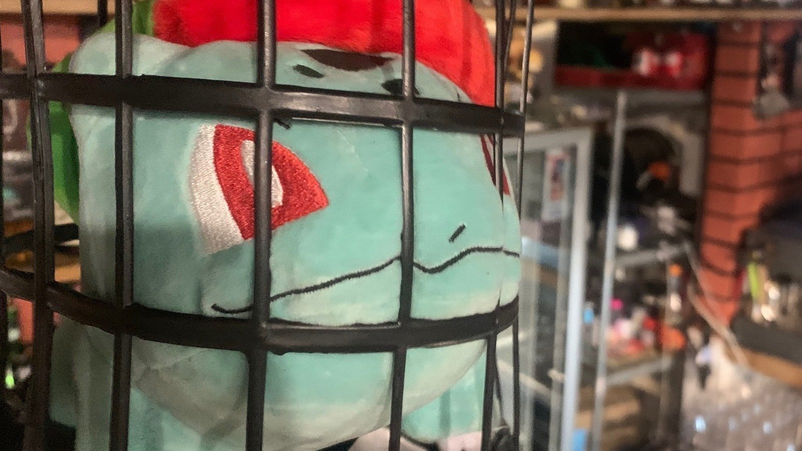 Petition · Free Bulbasaur!!! - Australia · Change.org