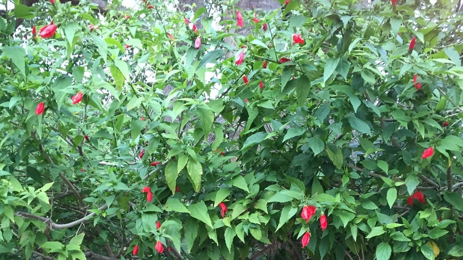 Petition · Stop Data Mining - United States · Change.org